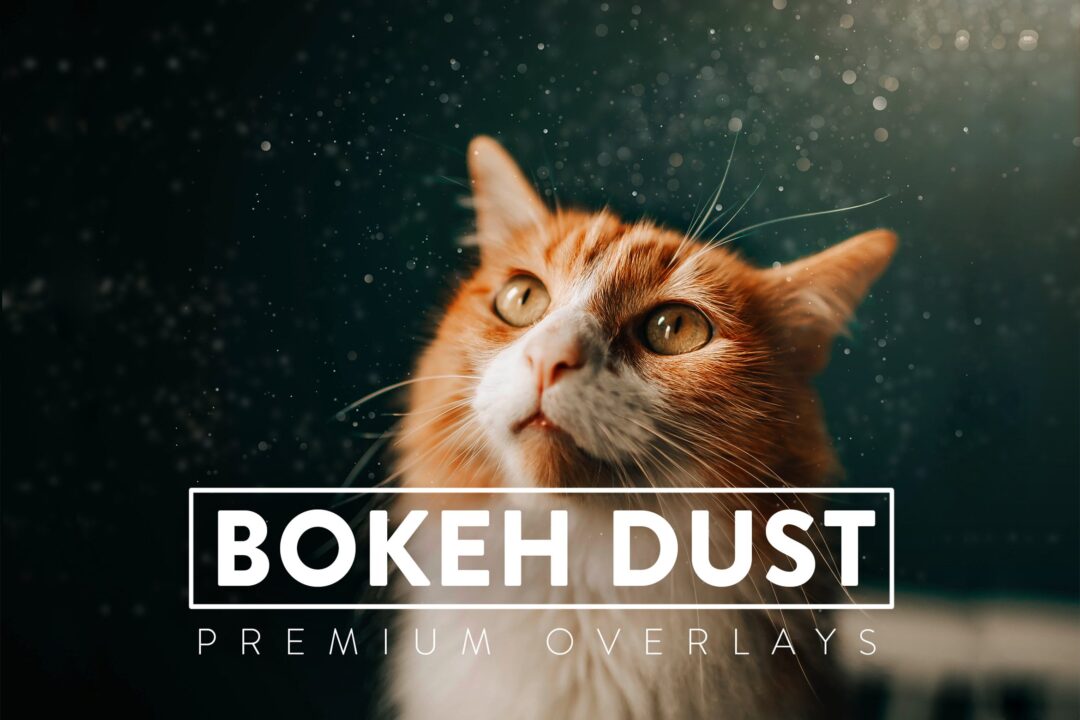 30 Bokeh Dust Overlays – UISUM
