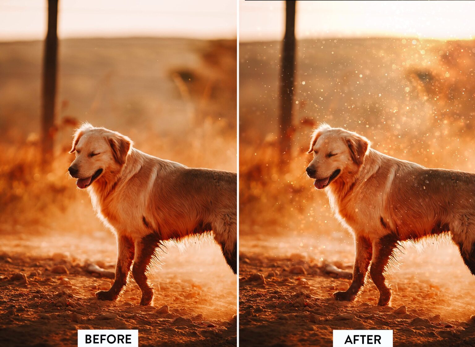 30 Bokeh Dust Overlays – UISUM